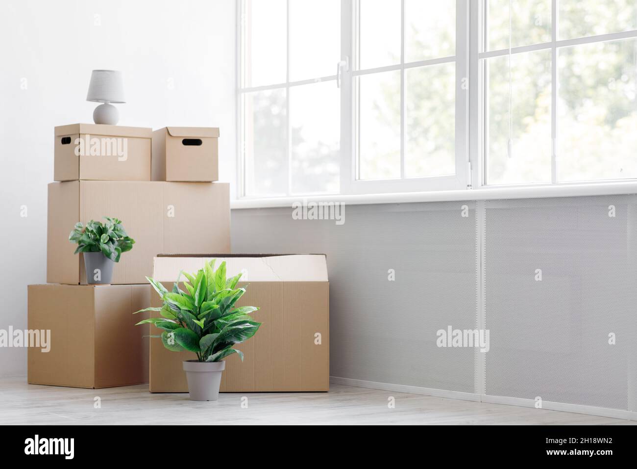 Stack of cardboard boxes with belongings and green plants in pots on ...