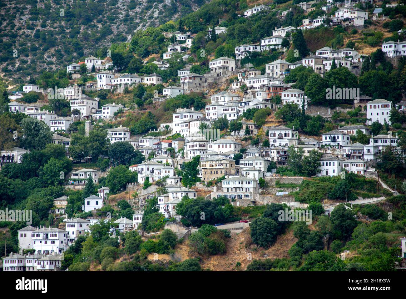 Traditional greek village of Makrinitsa on Pelion mountain in central ...
