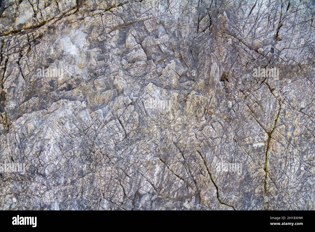 Fissured hi-res stock photography and images - Alamy
