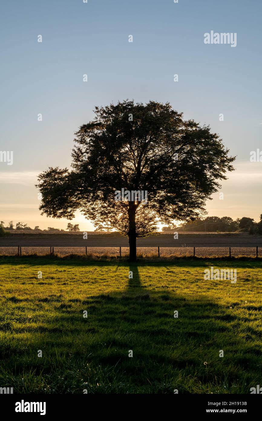 Wallingford to benson hi-res stock photography and images - Alamy