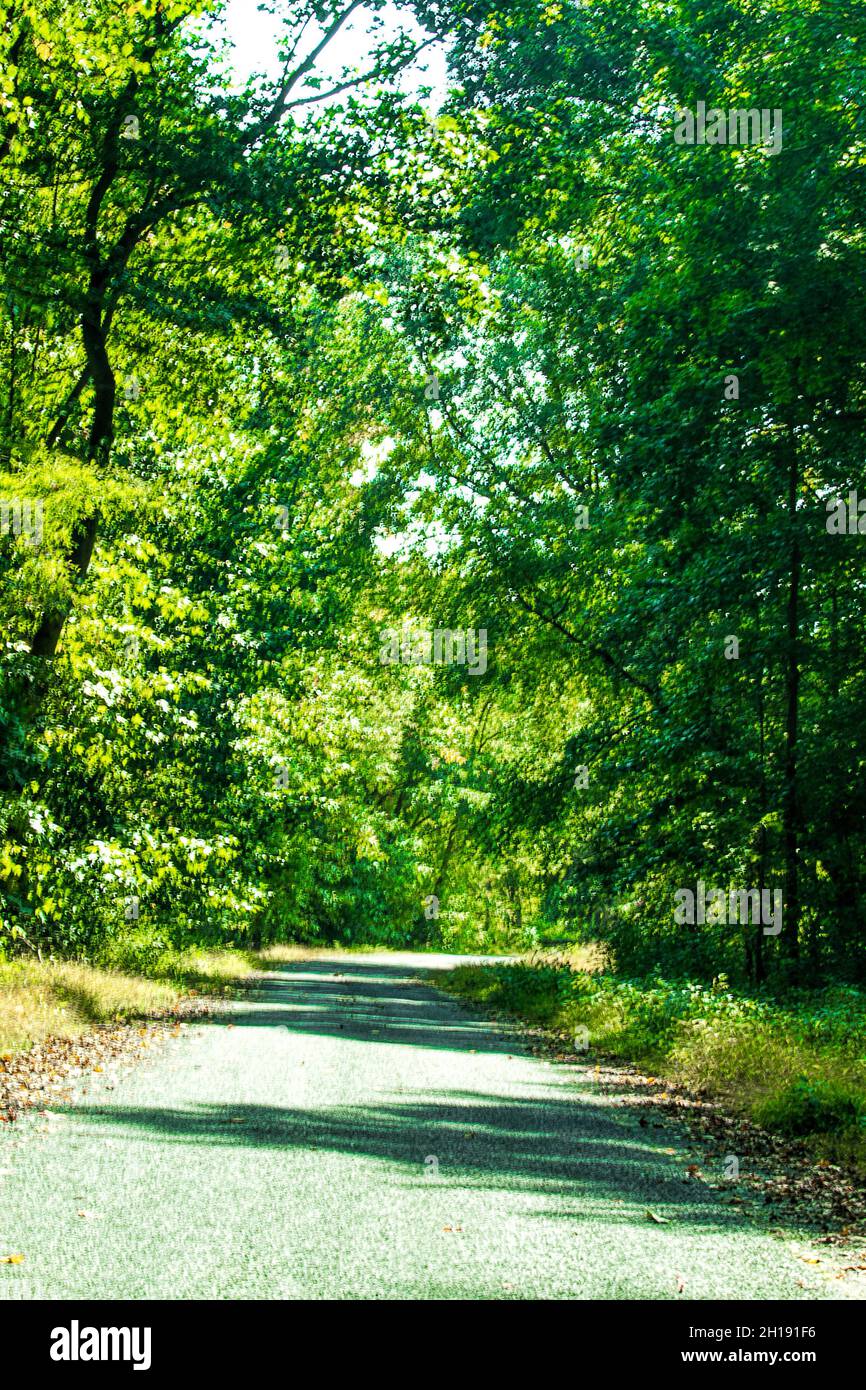 Scenic views of nature in a national refuge and wetlands Stock Photo ...