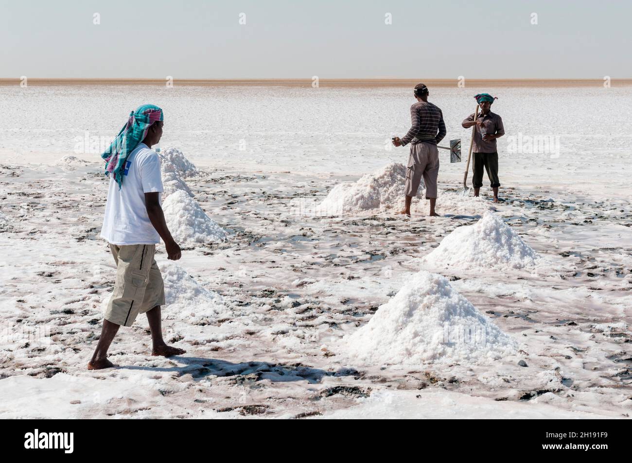 Men harvesting salt in the salt flats near Shannah. Shannah, Oman Stock ...