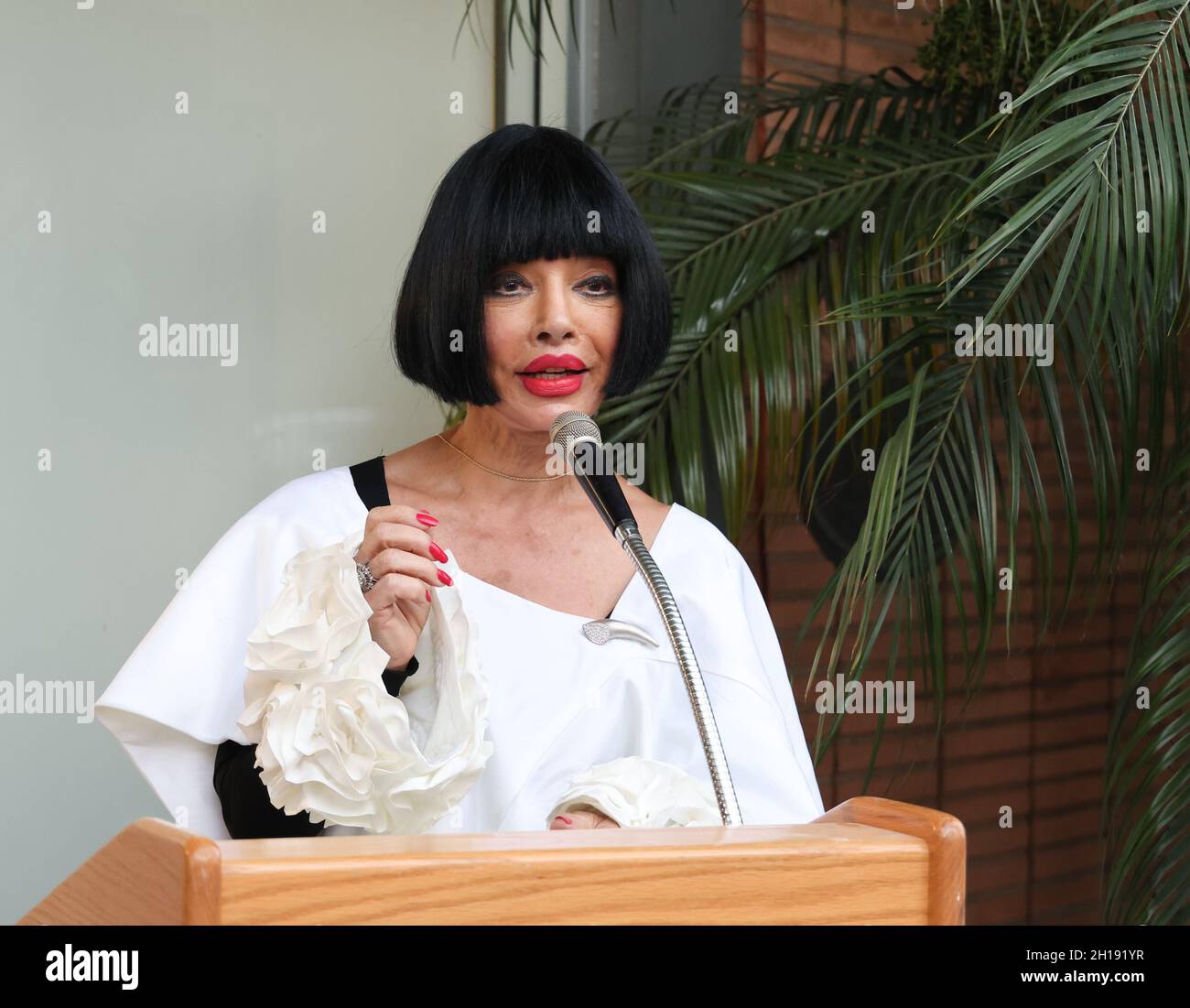 Homeria goldstein hi-res stock photography and images - Alamy