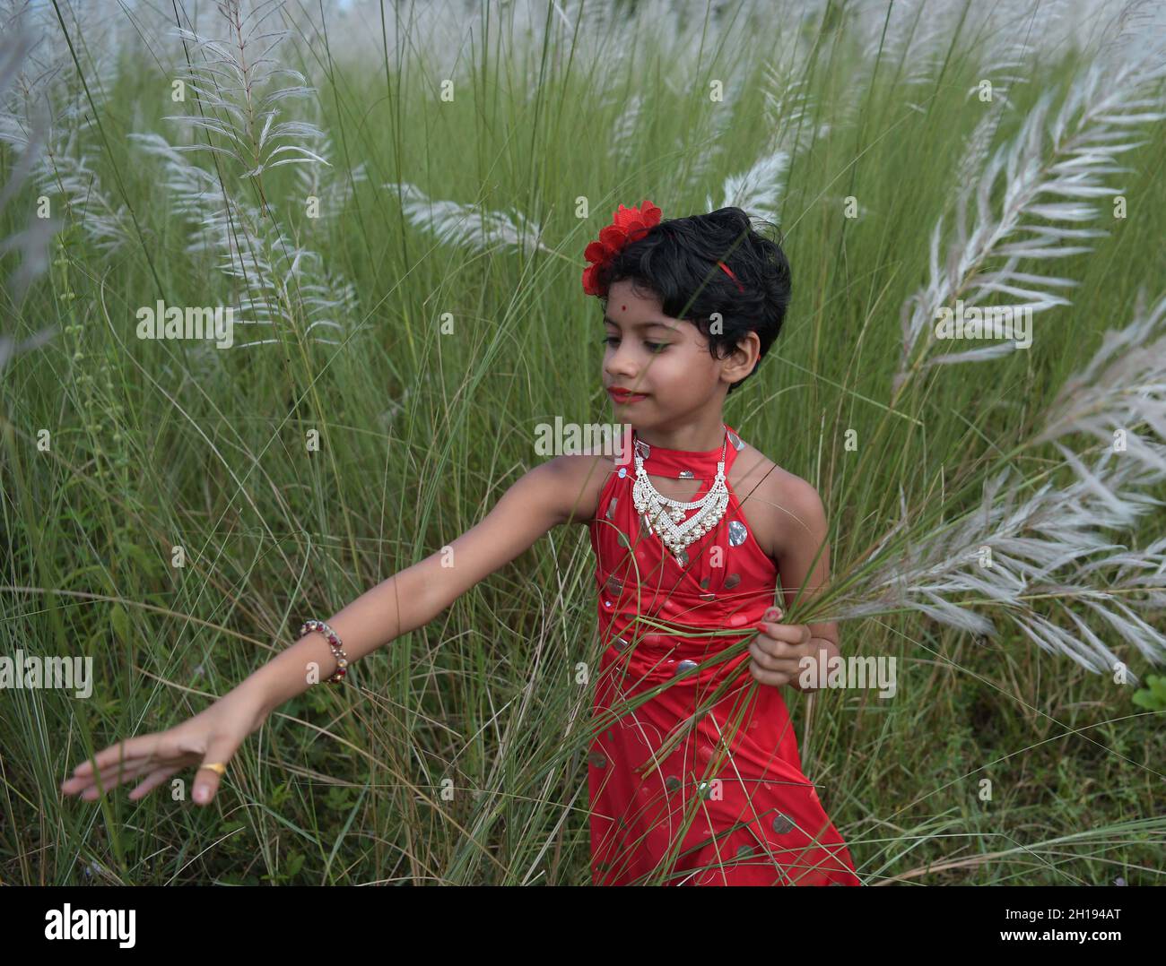 Children collect kash phool, also known as Kans Grass, which bloom in ...