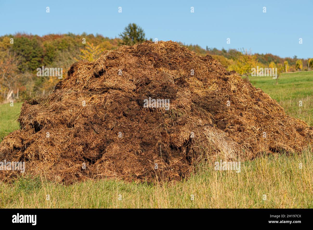 Smelly mist hi-res stock photography and images - Alamy