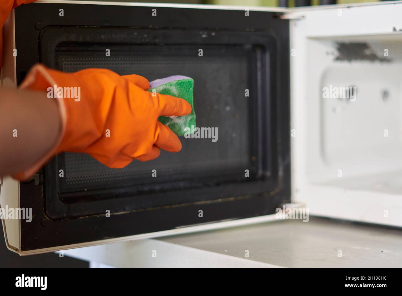 Woman in rubber gloves cleaning microwave oven with sponge in kitchen ...