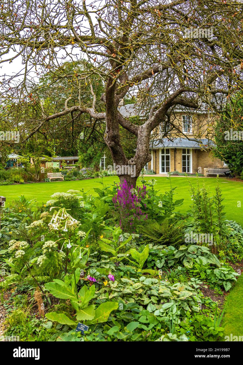 Views of Cambridge University Botanic Garden in full bloom 2021 Stock ...