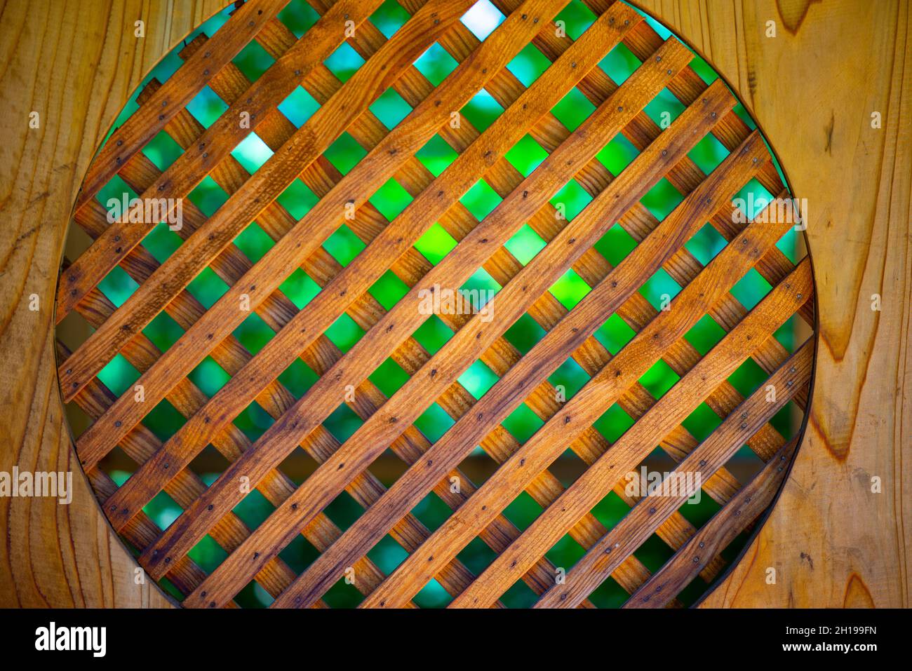 round weaving in the botanical garden in Batumi Stock Photo - Alamy