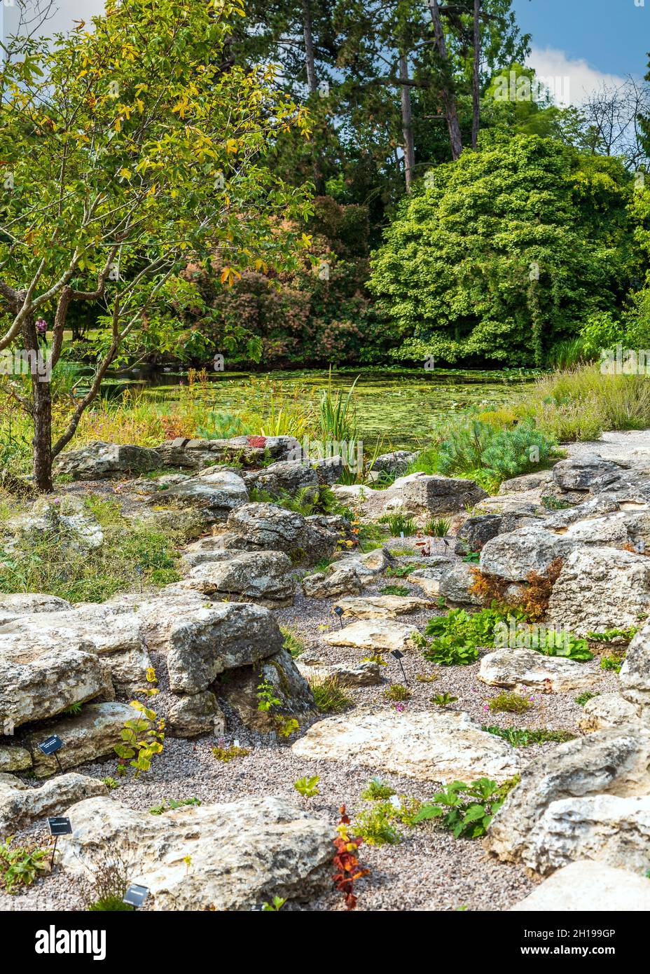 Views of Cambridge University Botanic Garden in full bloom 2021 Stock ...