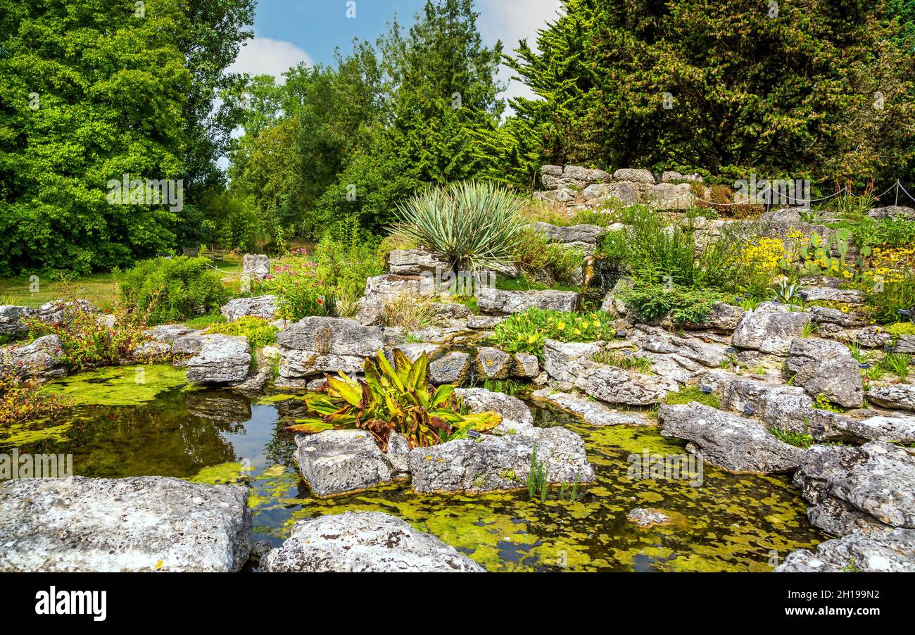 Views of Cambridge University Botanic Garden in full bloom 2021 Stock ...