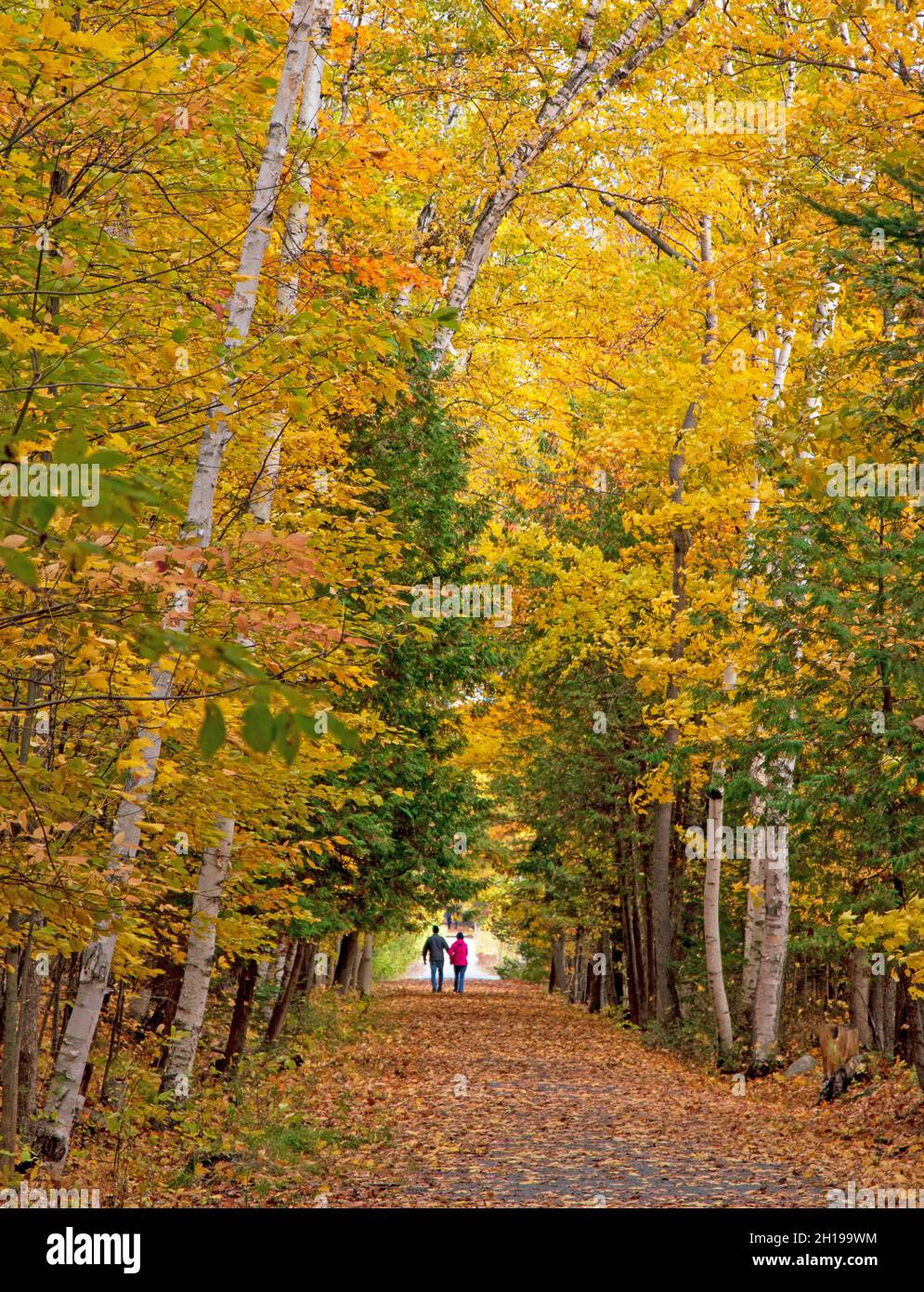 Walking fall hi-res stock photography and images - Alamy