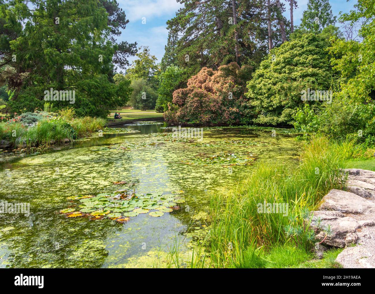 Views of Cambridge University Botanic Garden in full bloom 2021 Stock ...