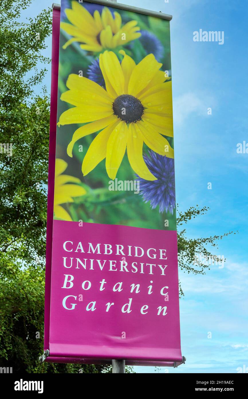 Views of Cambridge University Botanic Garden in full bloom 2021 Stock ...