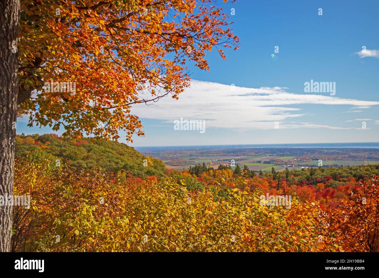 Blue sky and colourful foliage in autumn in Canada Stock Photo - Alamy