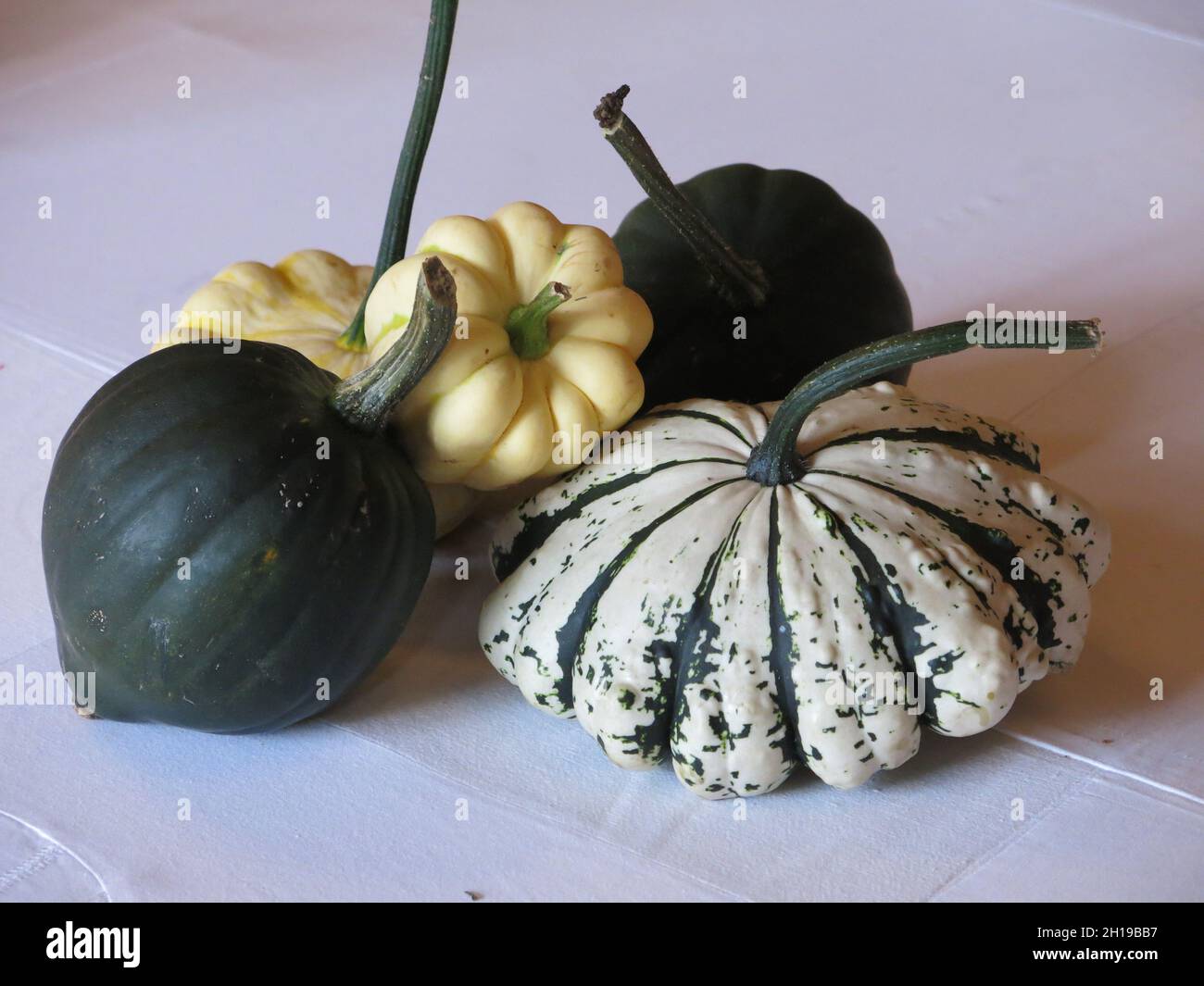 Autumn produce: an array of five winter squashes of different varieties ...