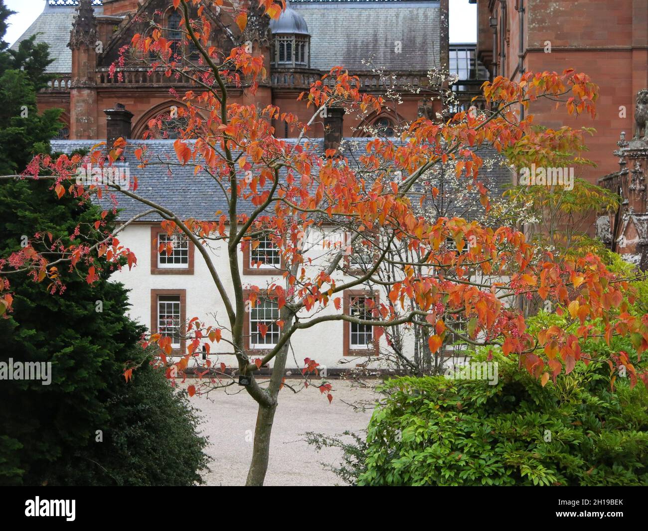 Autumn colours in the trees at Mount Stuart House: the ancestral home ...