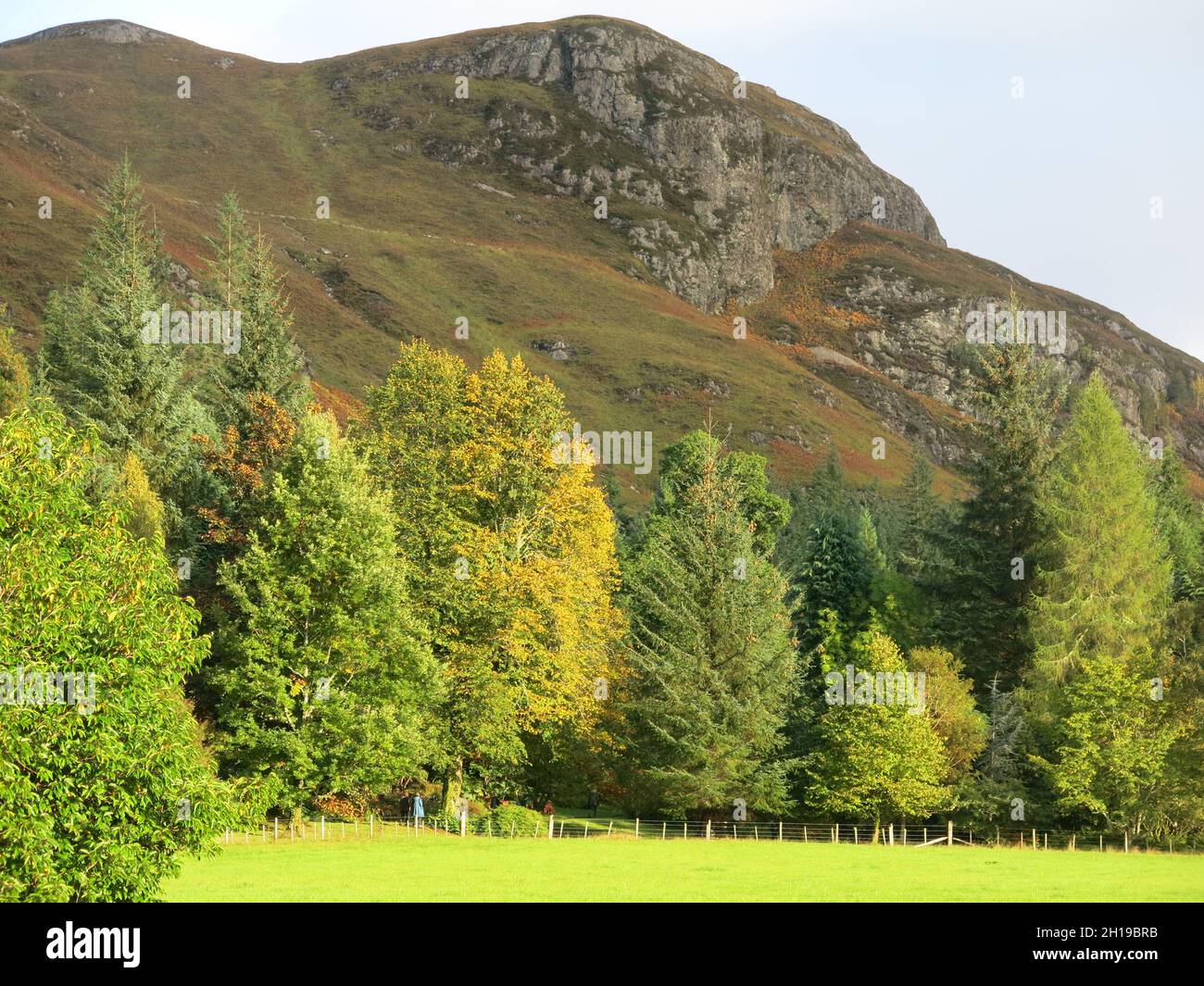 Scottish gardens to visit in the Highlands: Attadale Gardens near ...