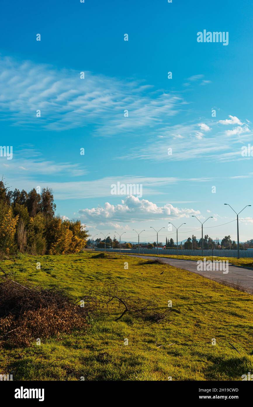 A beautiful view of a small road with street lights next to the green ...