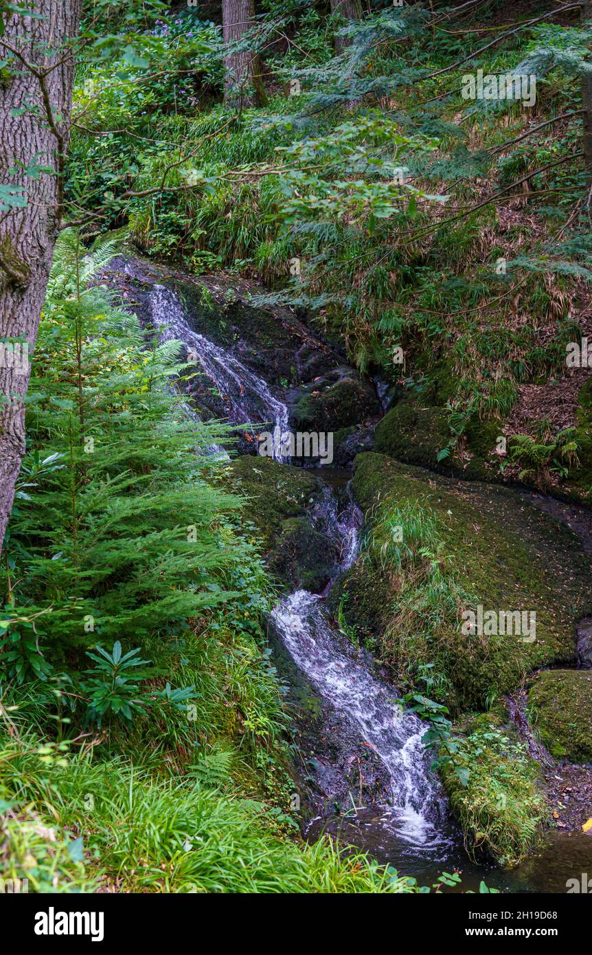Stream through gardens hi-res stock photography and images - Alamy