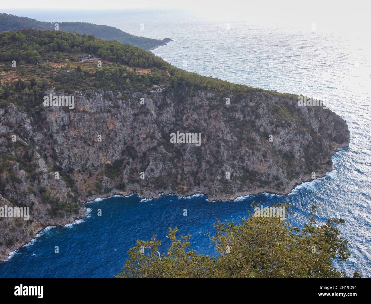 A high-angle view of a rocky cliff with green trees on the beautiful ...