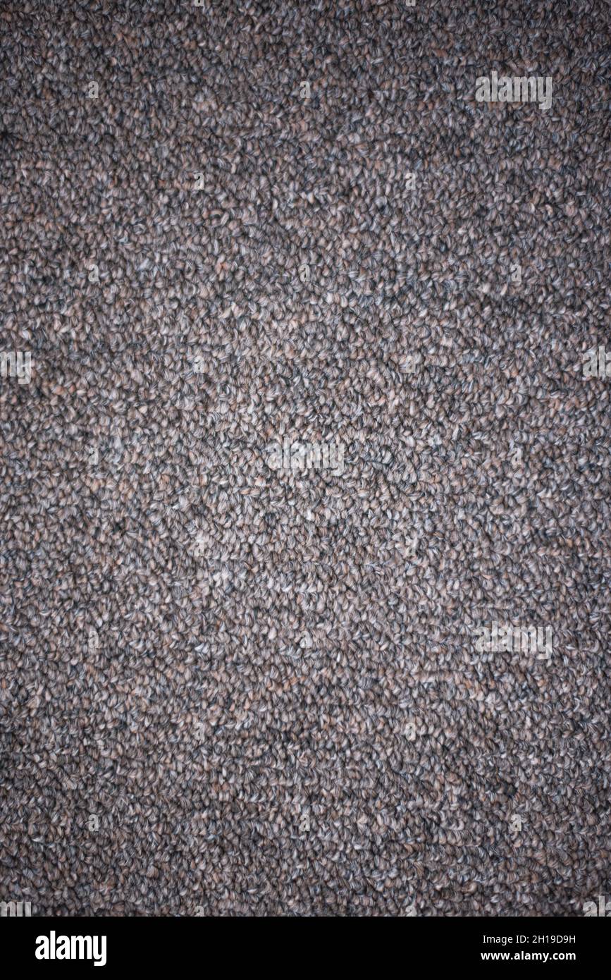 Plain texture hi-res stock photography and images - Alamy