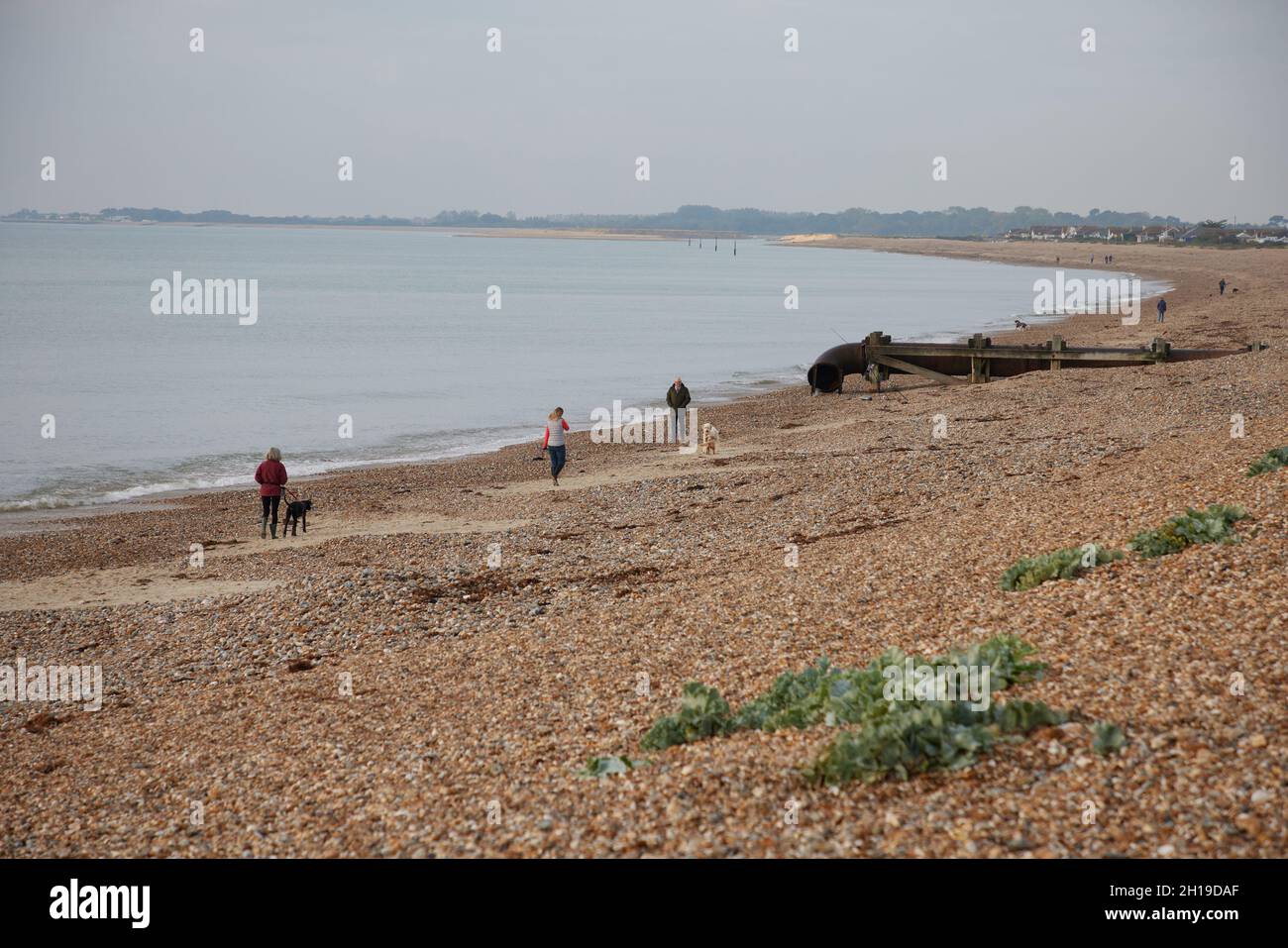 People seen on the beach of Aldwick beach ealy morning Stock Photo - Alamy