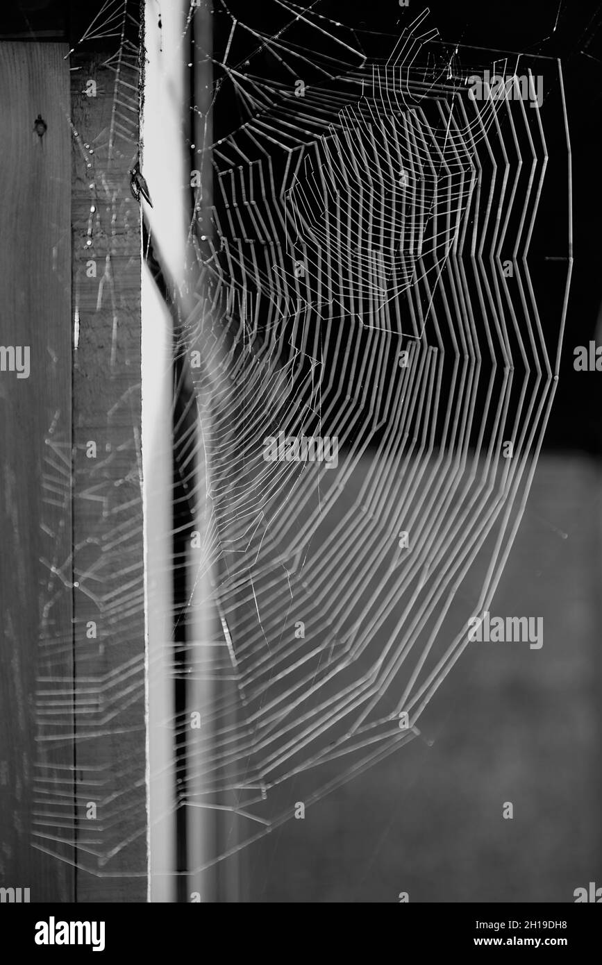 Isolated ecosystems Black and White Stock Photos & Images - Alamy