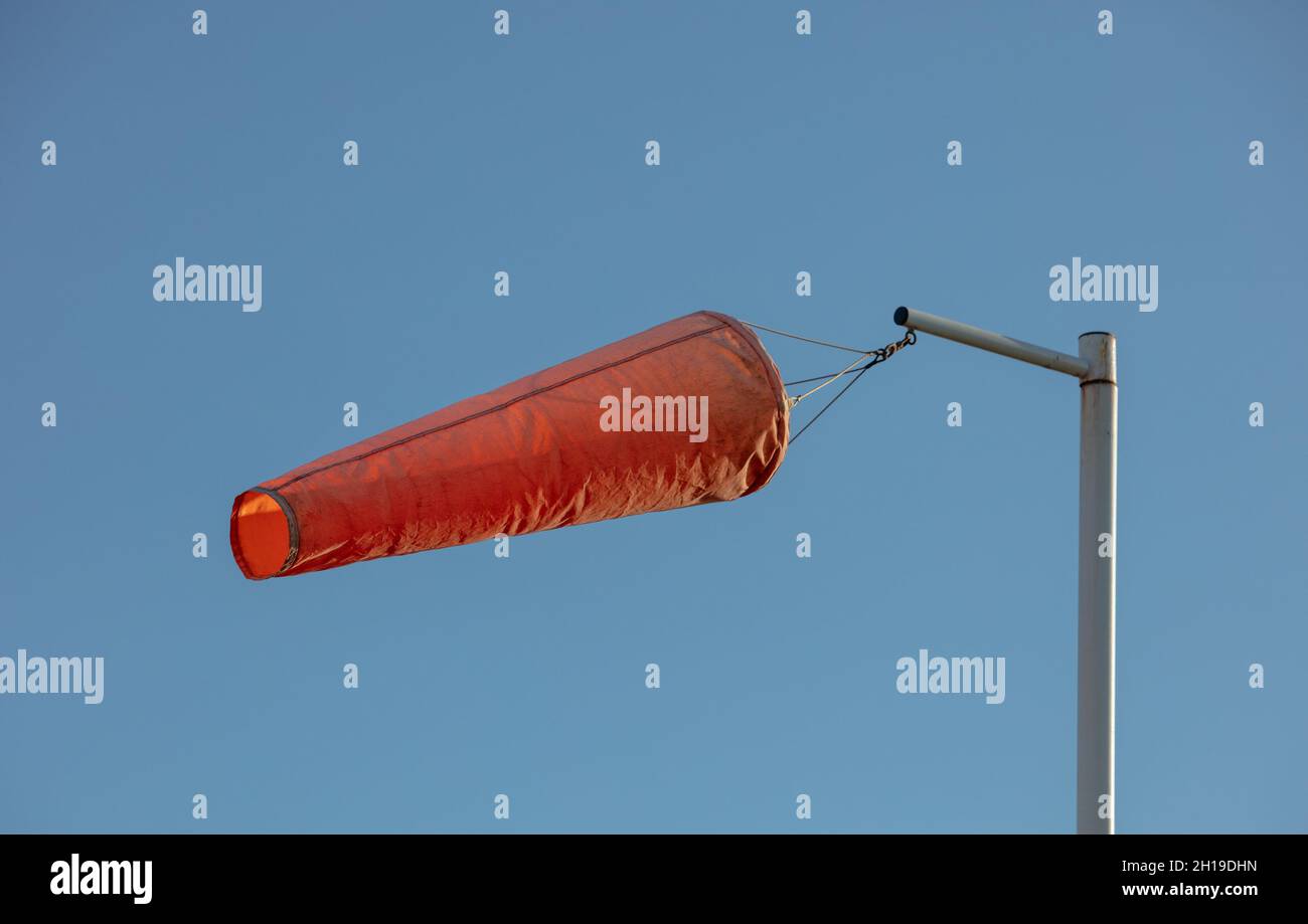Large windsock seen in a garden as a garden ornament Stock Photo - Alamy