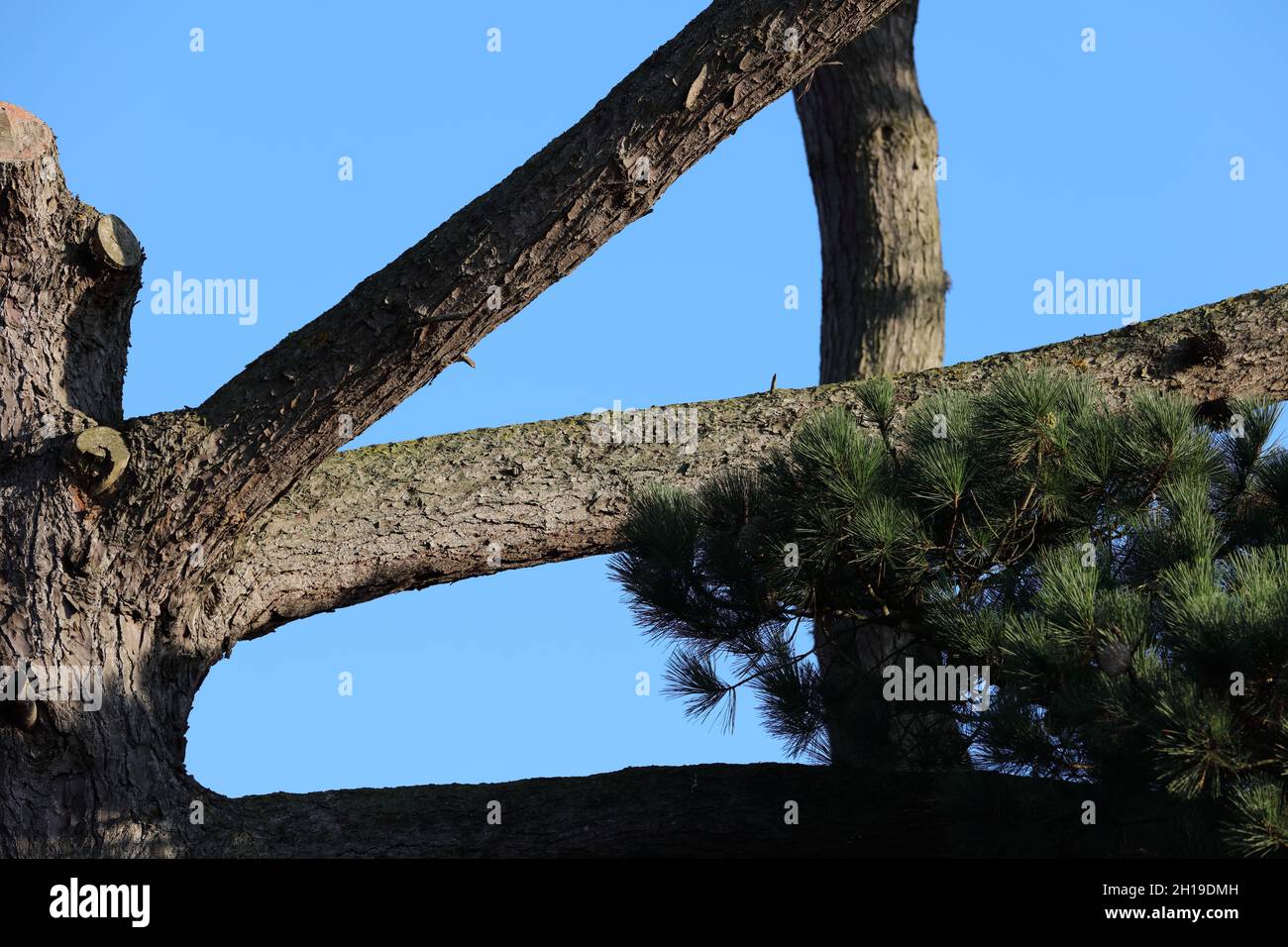 Strong horizontal line formed hi-res stock photography and images - Alamy