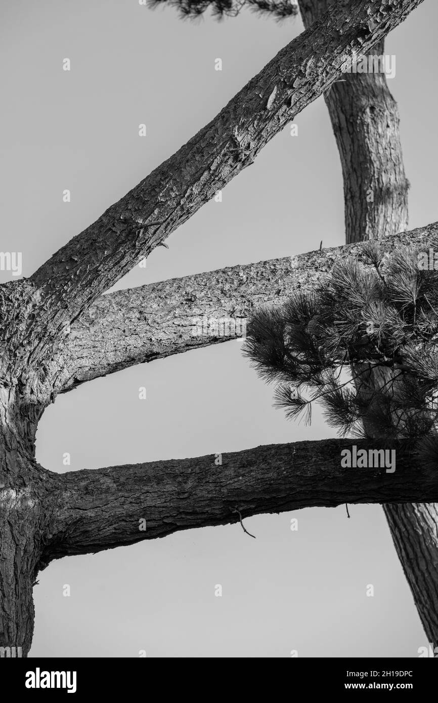 Strong horizontal lines hi-res stock photography and images - Alamy