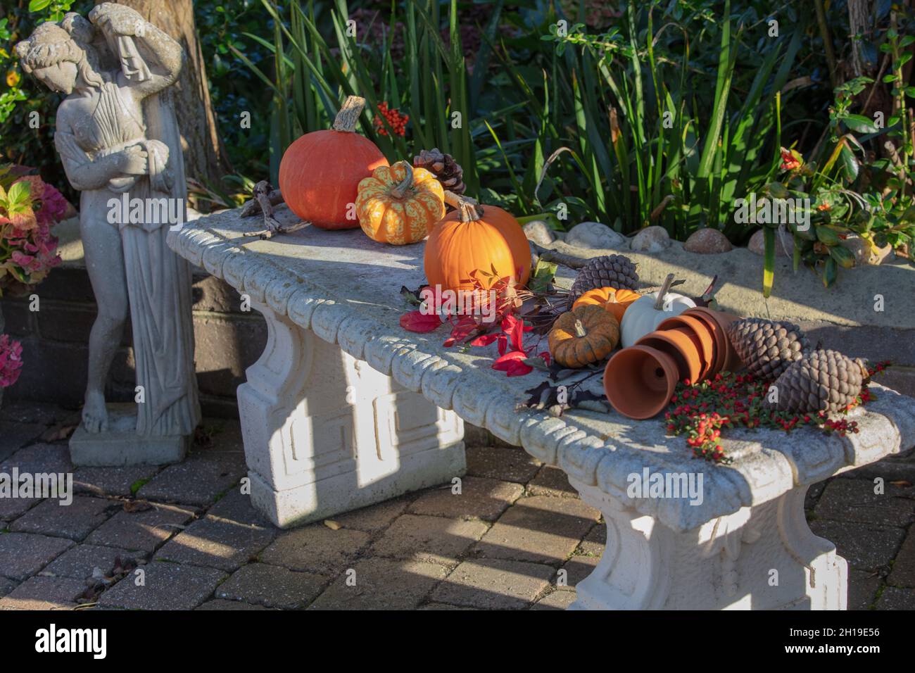 Autumn display of pumpkins on a garden bench Stock Photo - Alamy