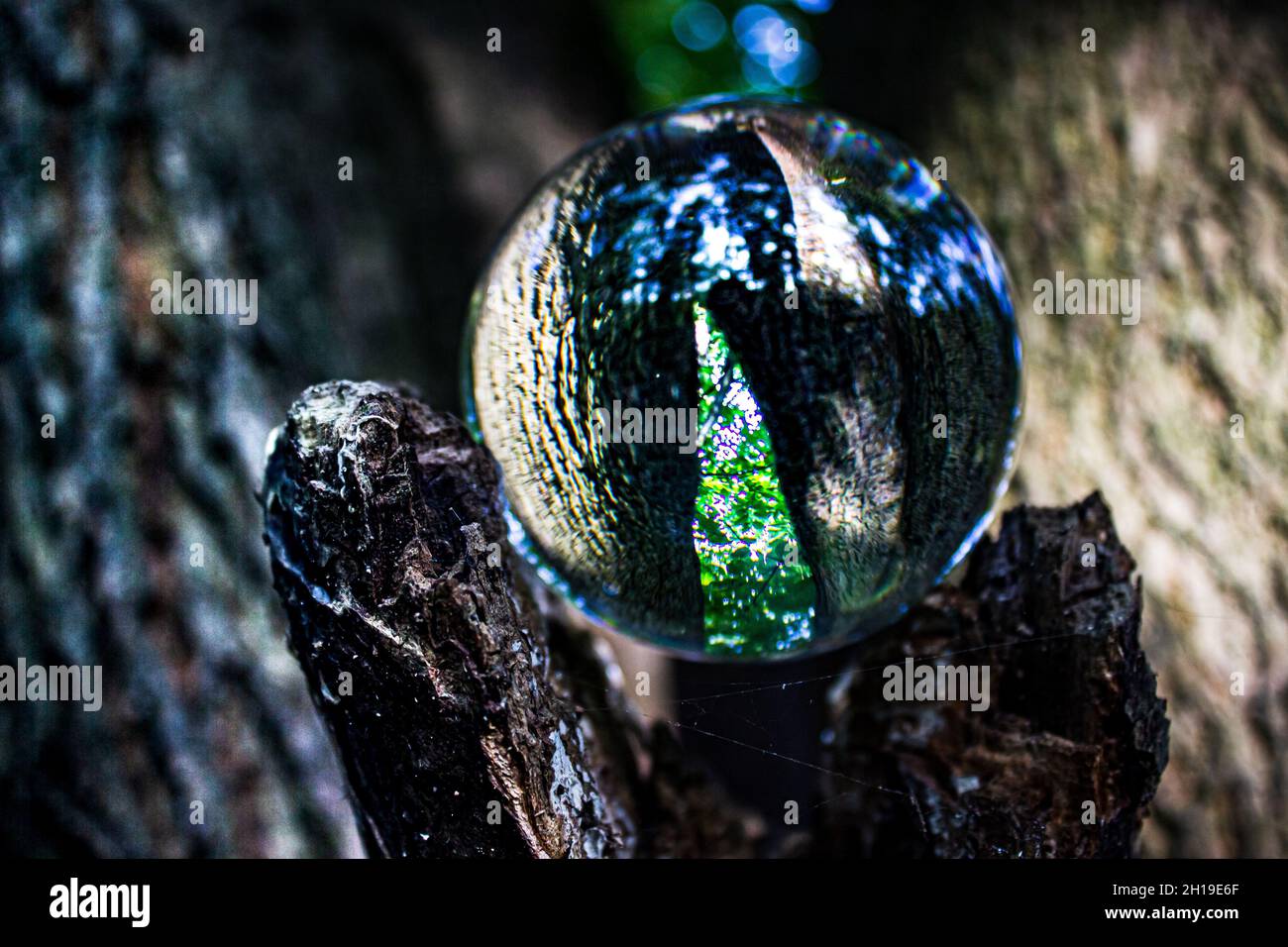 A close-up shot of a crystal, transparent ball hanging on the broken ...