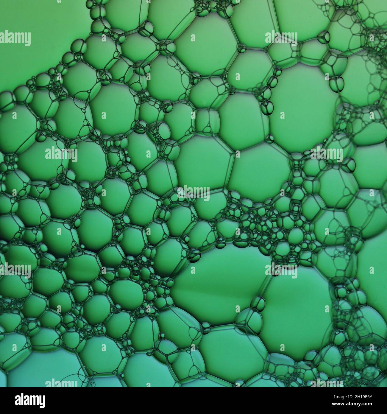 Soapy bubbles chemical art hi-res stock photography and images - Alamy