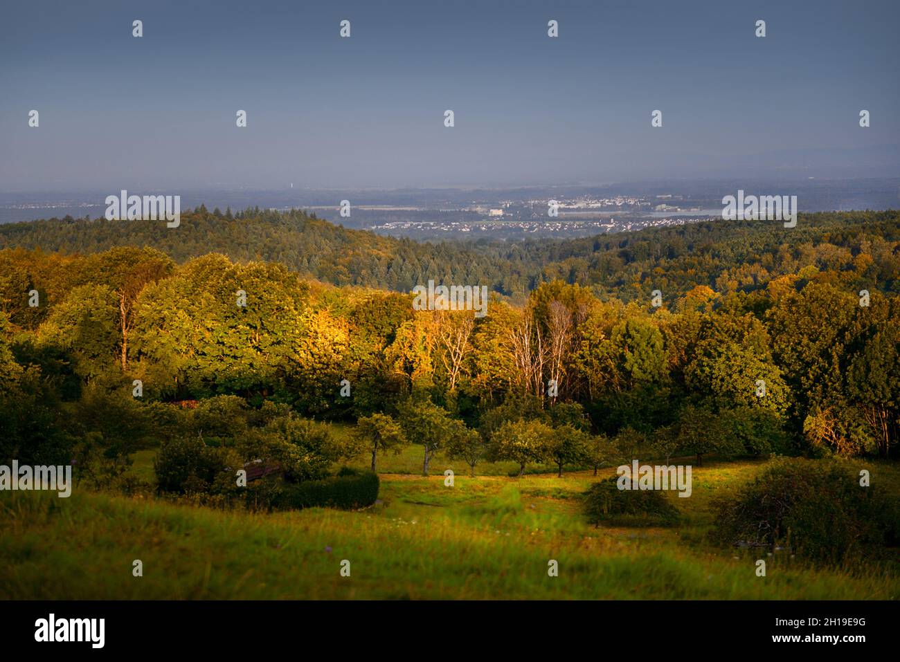 A beautiful shot of a green, dense forest and a city on the horizon ...