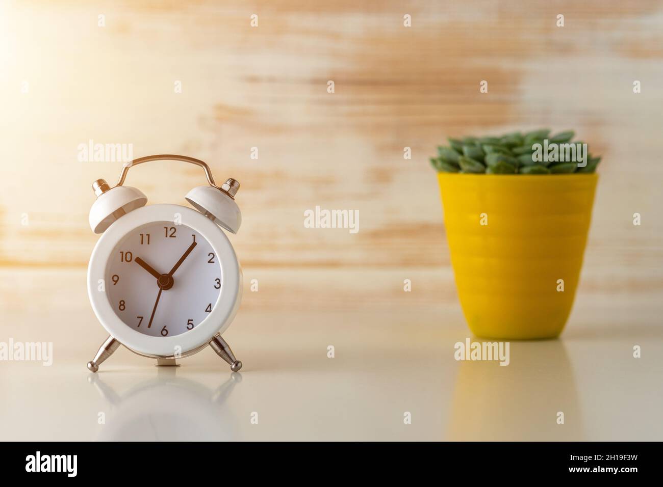 White alarm clock with cactus in pot on wooden desk. Minimal time ...