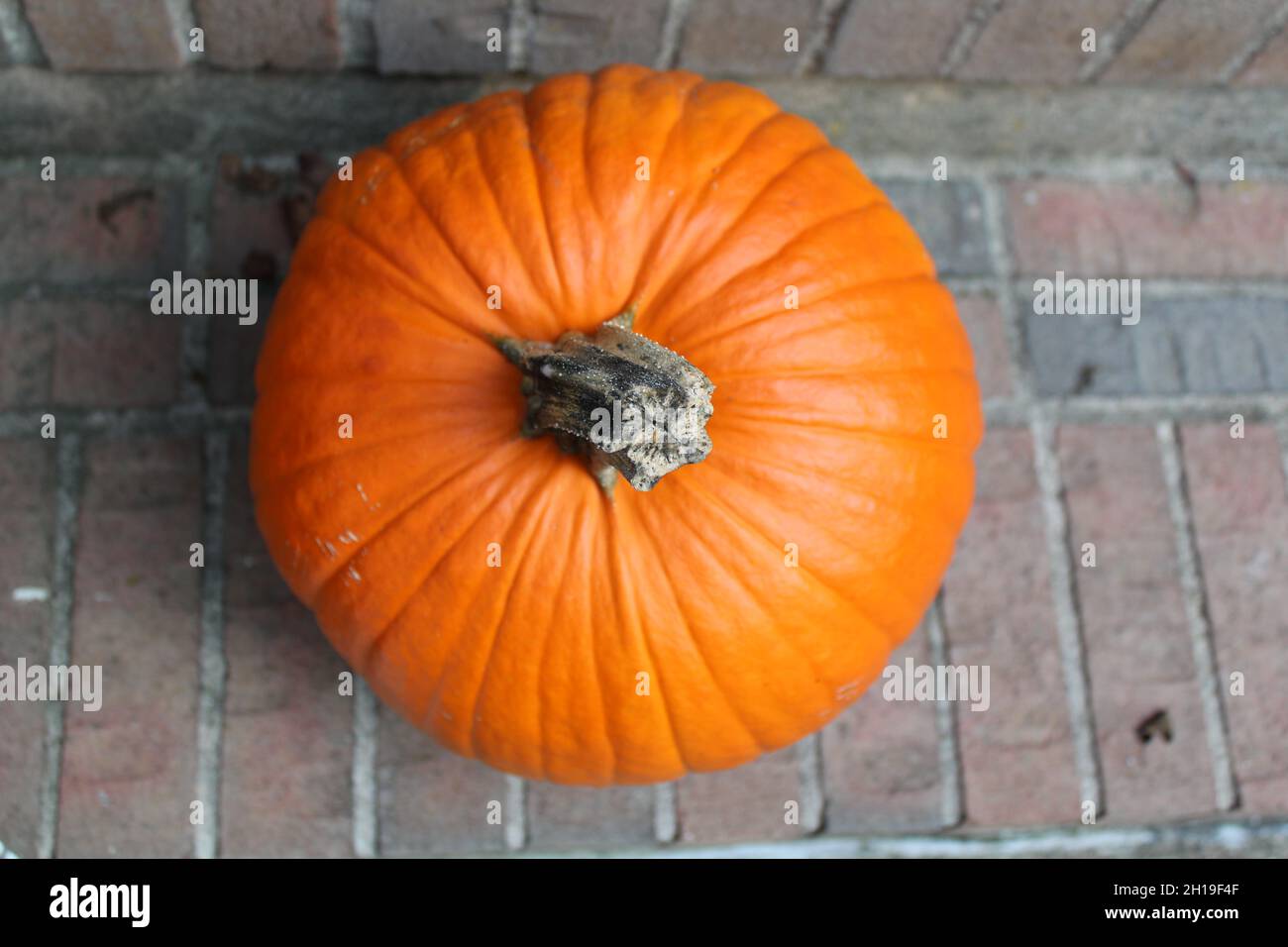 A Medium Pumpkin on a Porch Step in Autumn Stock Photo - Alamy
