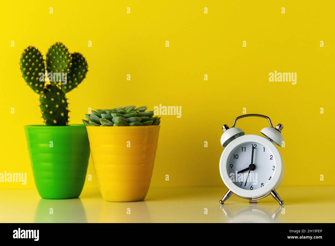 White alarm clock with cactus in pot on wooden desk. Minimal time ...