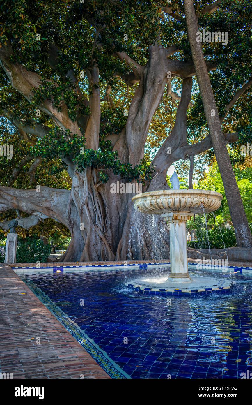 A fountain in a park with a large old tree trunk in the background ...