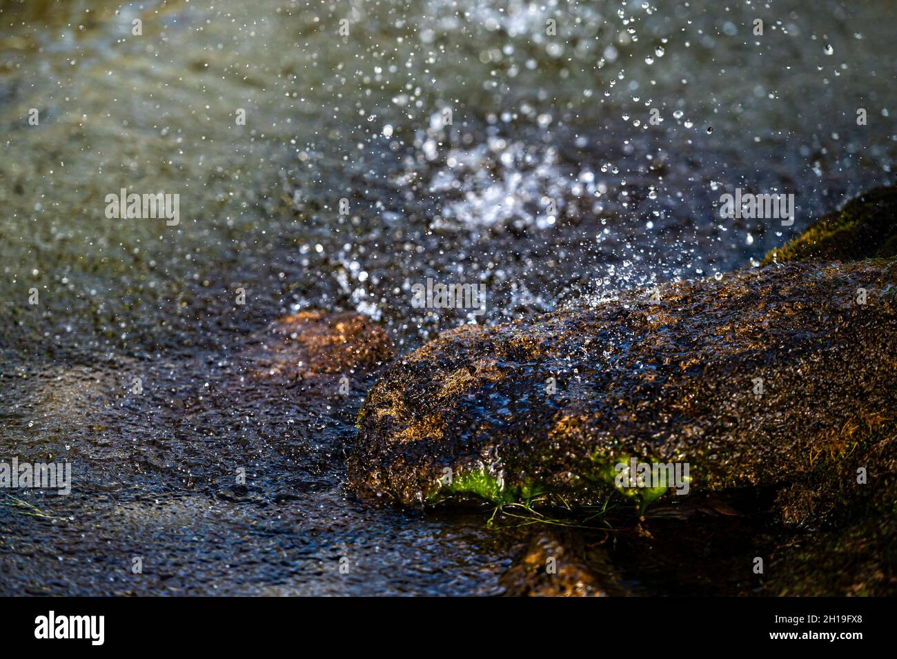 closeup view of water splashing over a rock in a pool under a fountain ...