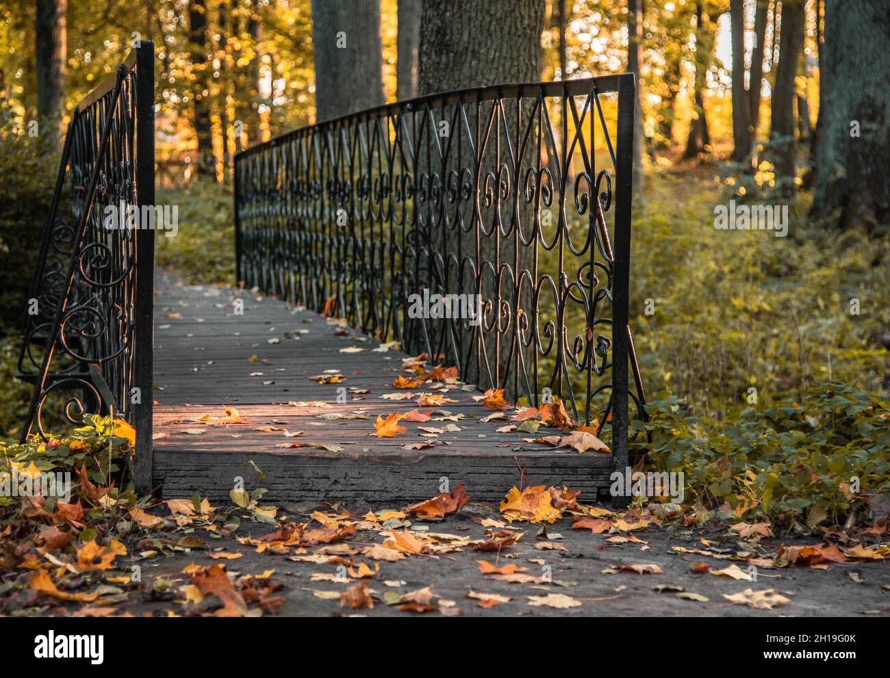 Small bridge in the park and fallen autumn leaves on it on sunny ...