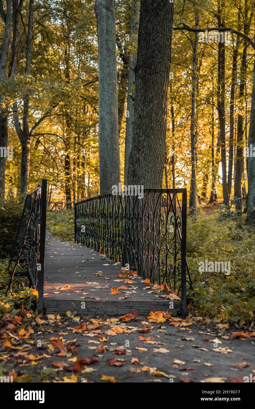 Small bridge in the park and fallen autumn leaves on it on sunny ...