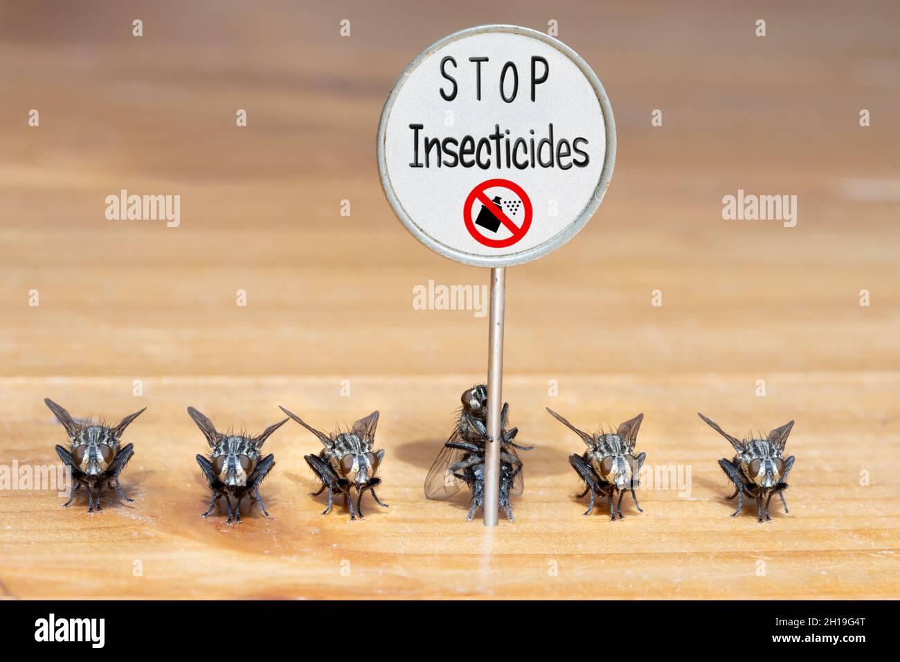 The flies stands in line with an board with a text Stop insecticides ...