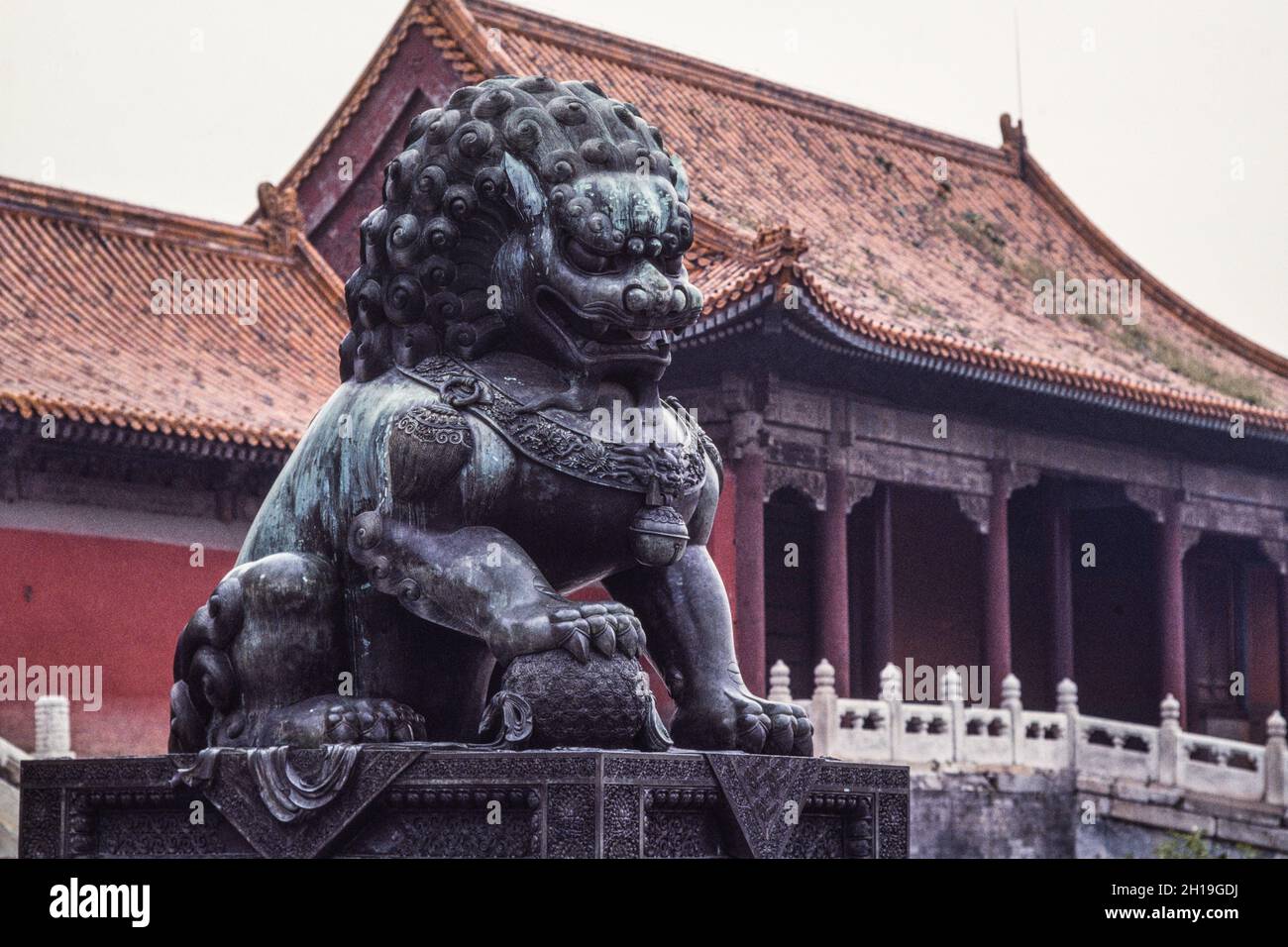 A bronze statue of a lion guards the Forbidden City in Beijing, China ...