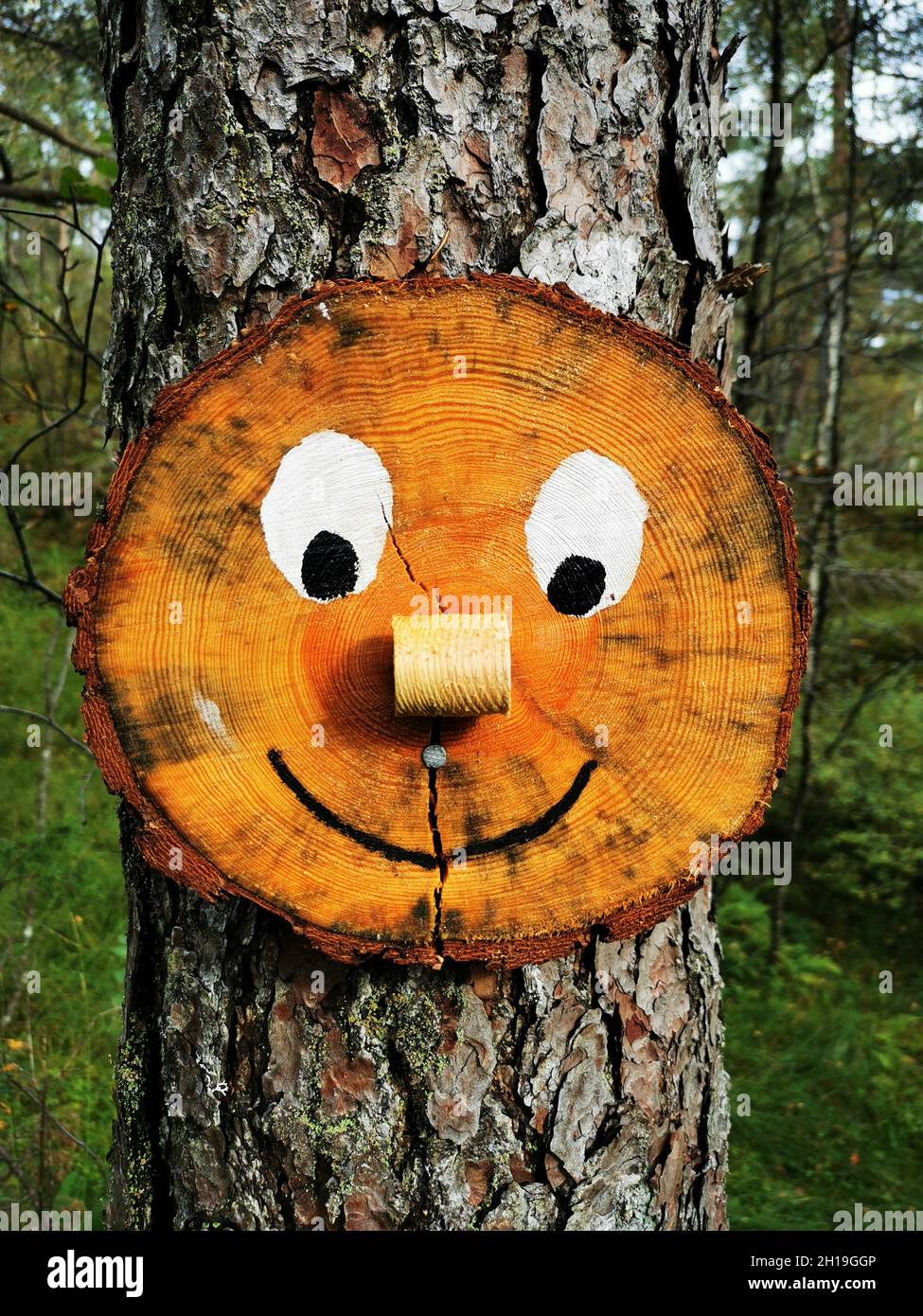 A vertical closeup shot a smiley face made out of a cut tree trunk ...