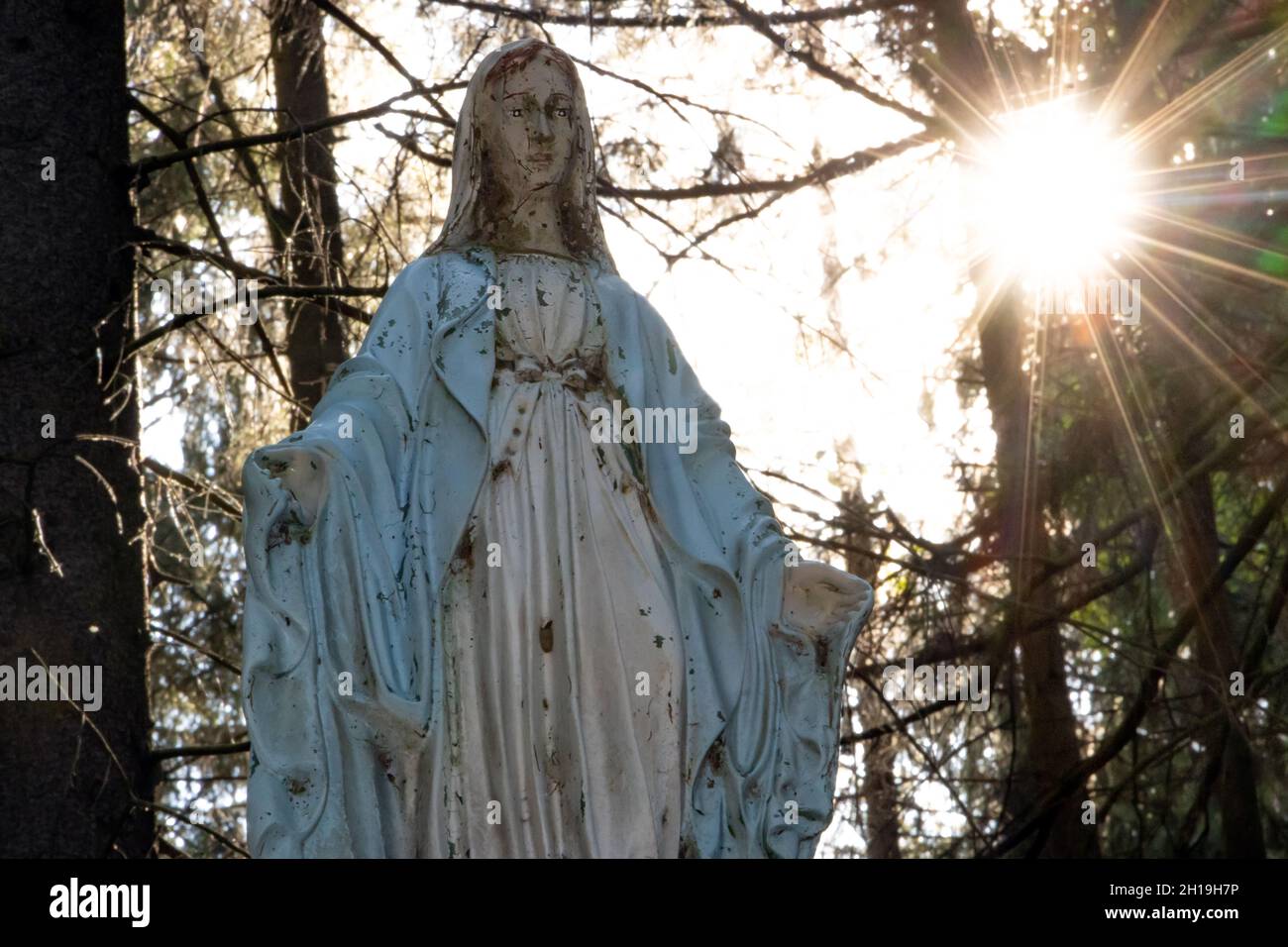 The sun's rays shine through the trees on the statue of the Virgin Mary ...