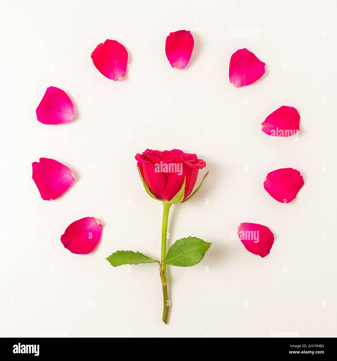 Creative layout made with red rose and roses petals. Minimal nature ...