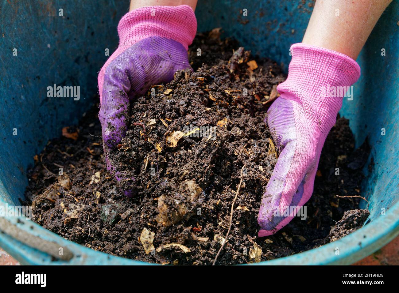 A bucket of compost being hand mixed by gloved hands Stock Photo - Alamy