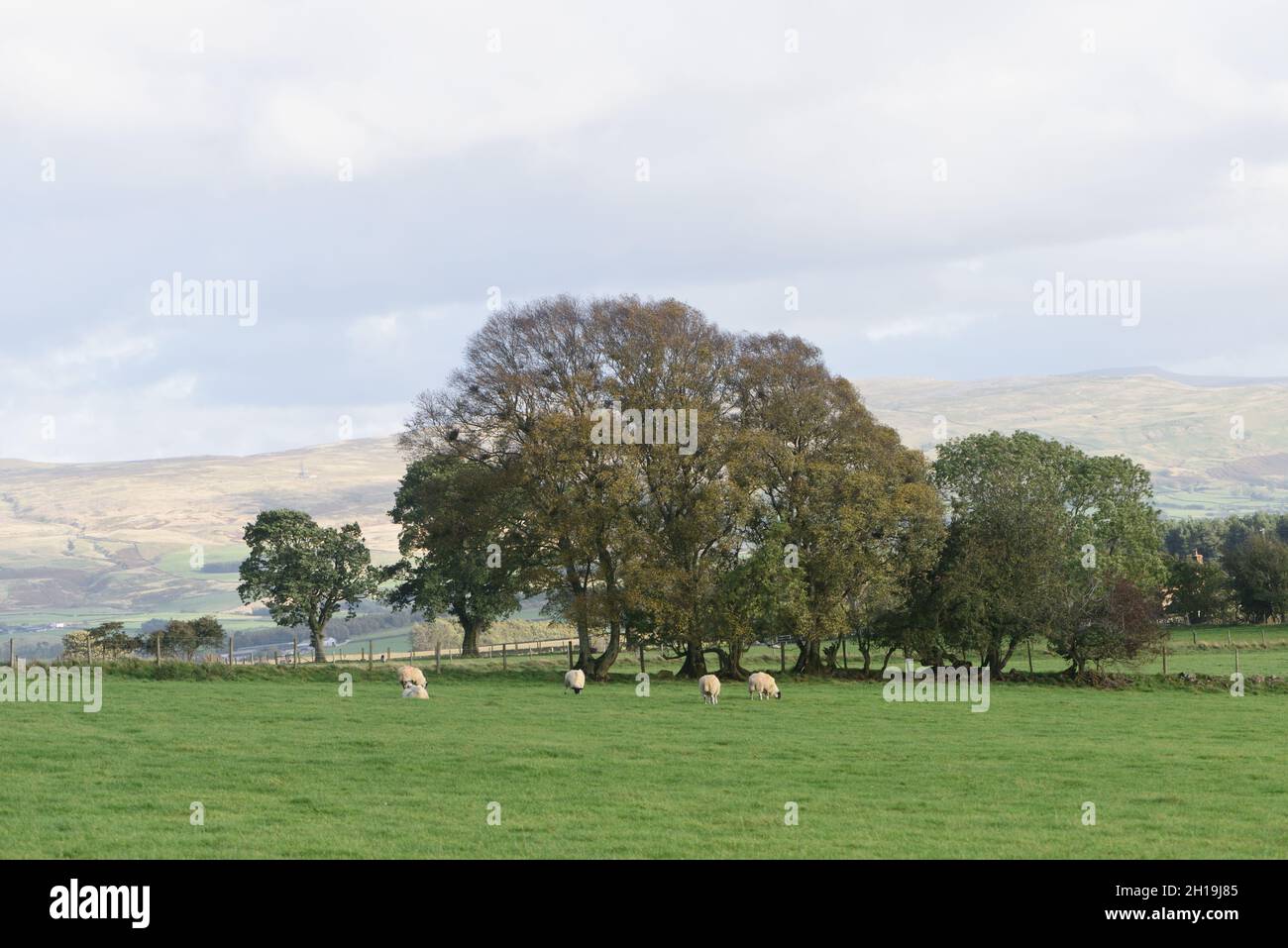 Fields and field boundaries in the Pennines above Kirkoswald ...