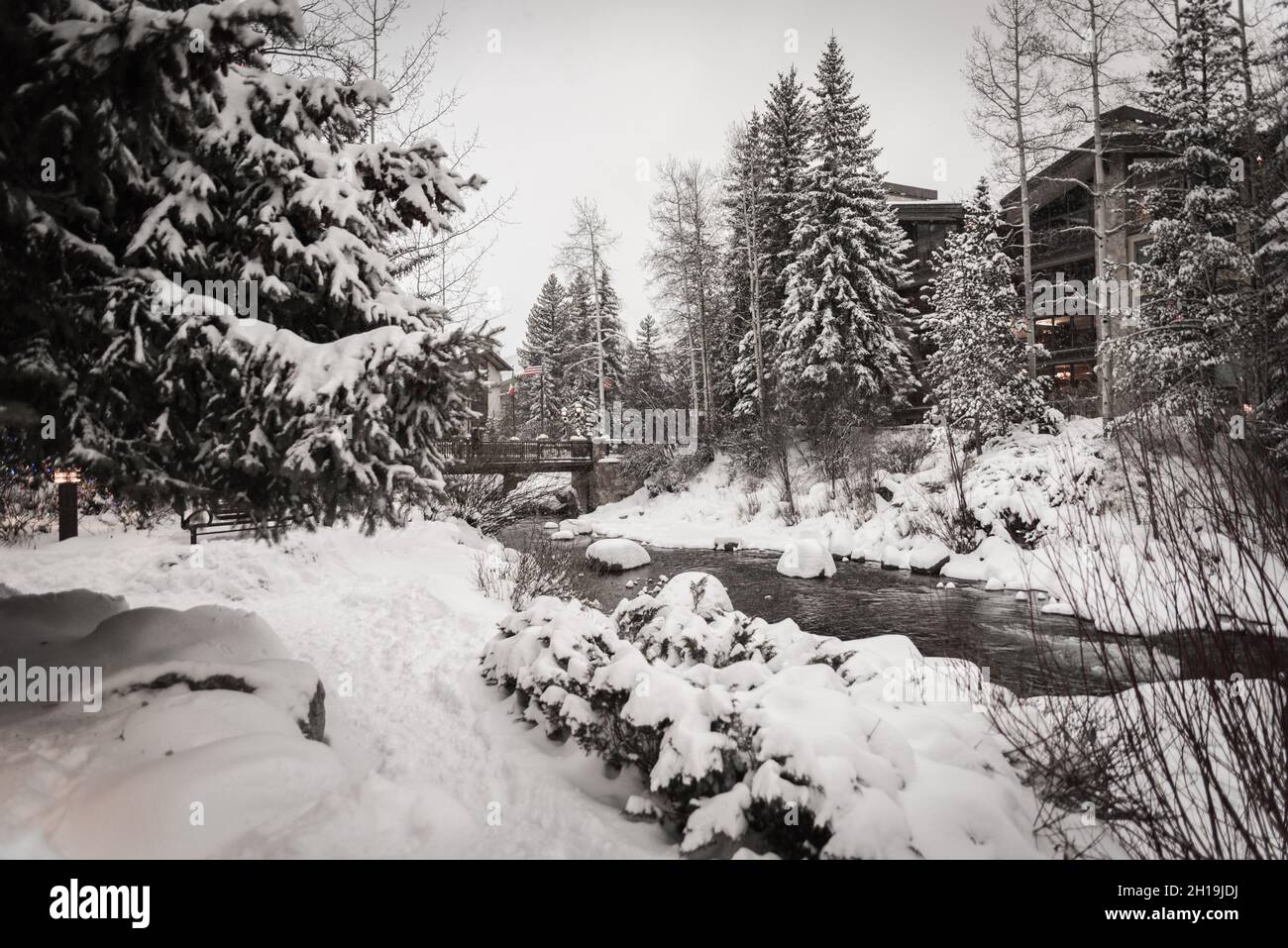 Tree covered vail mountain hi-res stock photography and images - Alamy