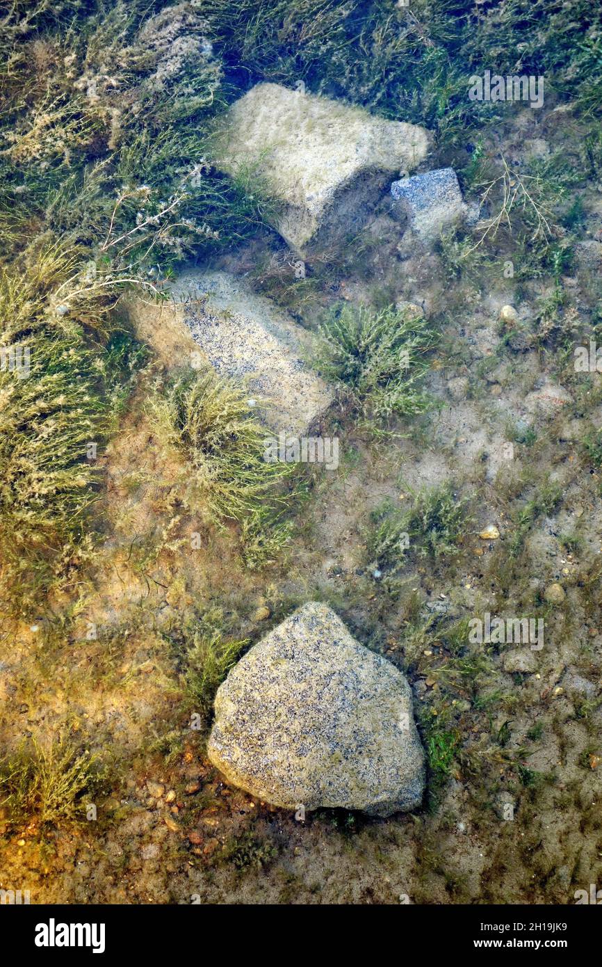 A vertical shot of mossy rocks under the water Stock Photo - Alamy